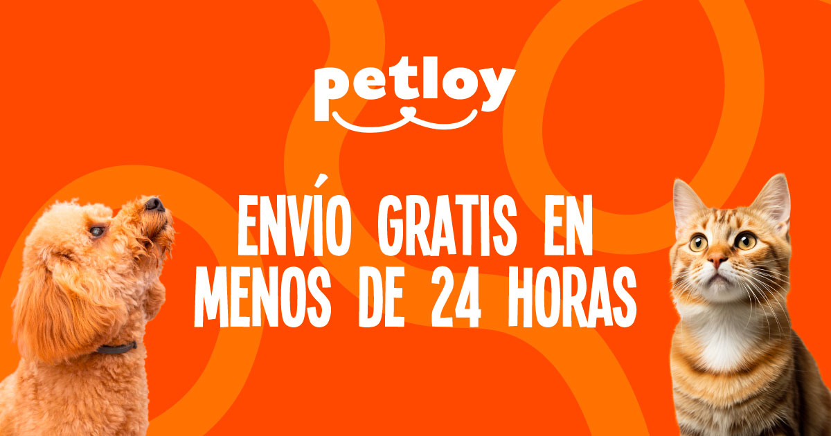 Alimento seco para perro en Monterrey | Petloy